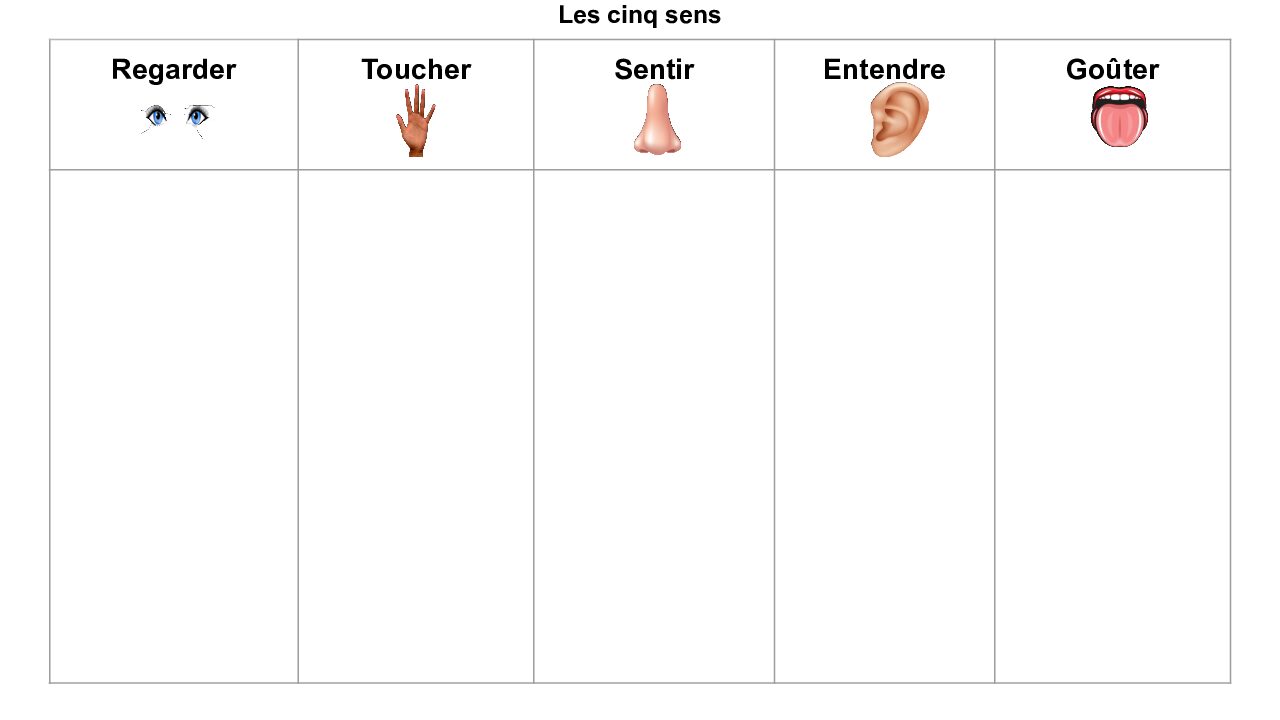Je découvre mes 5 sens - ALF – Grand Nord